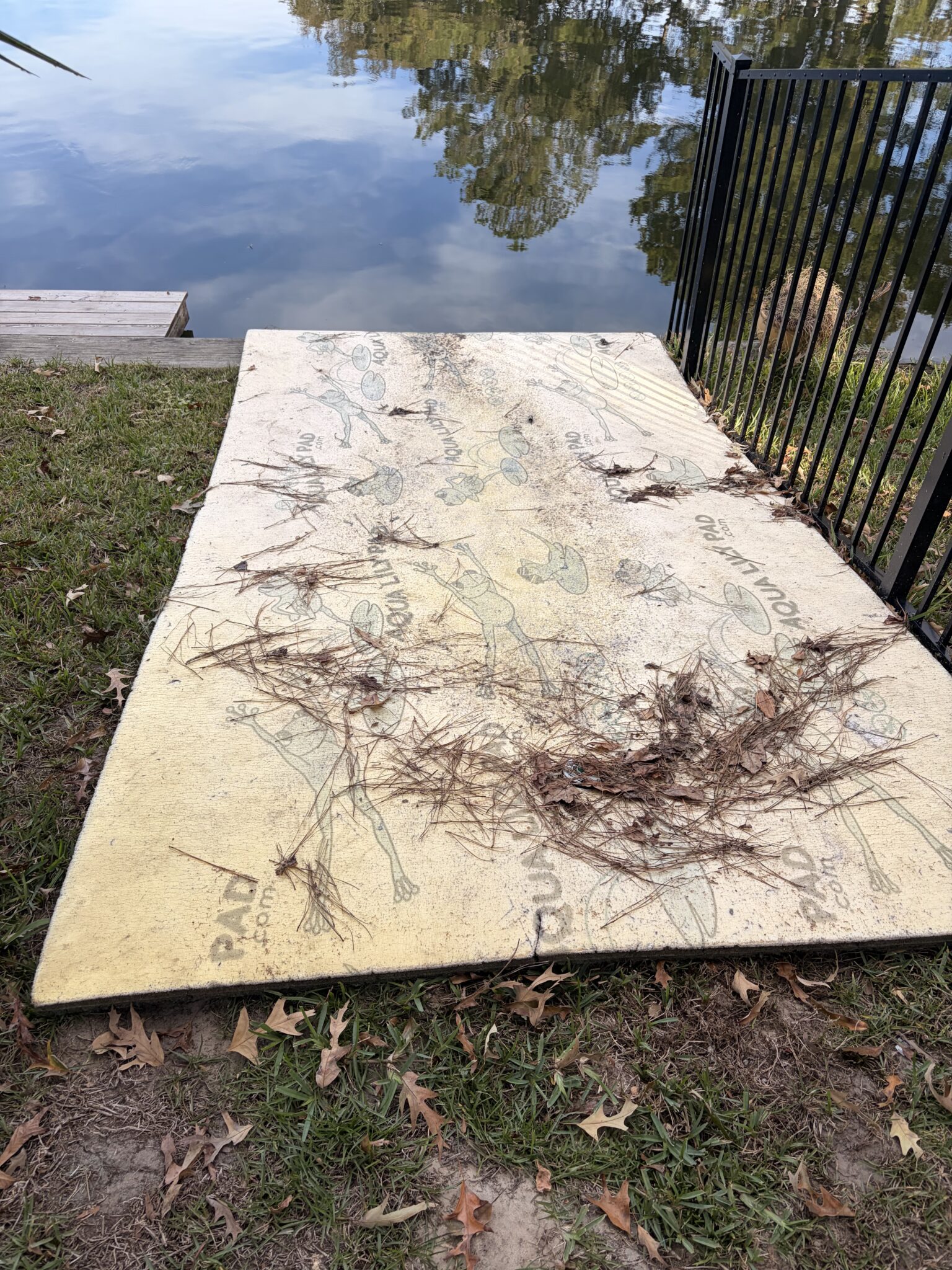 Water pad – Talahi Lake