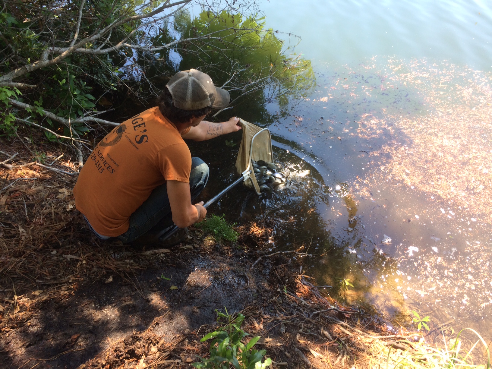We Have Fish! – Talahi Lake